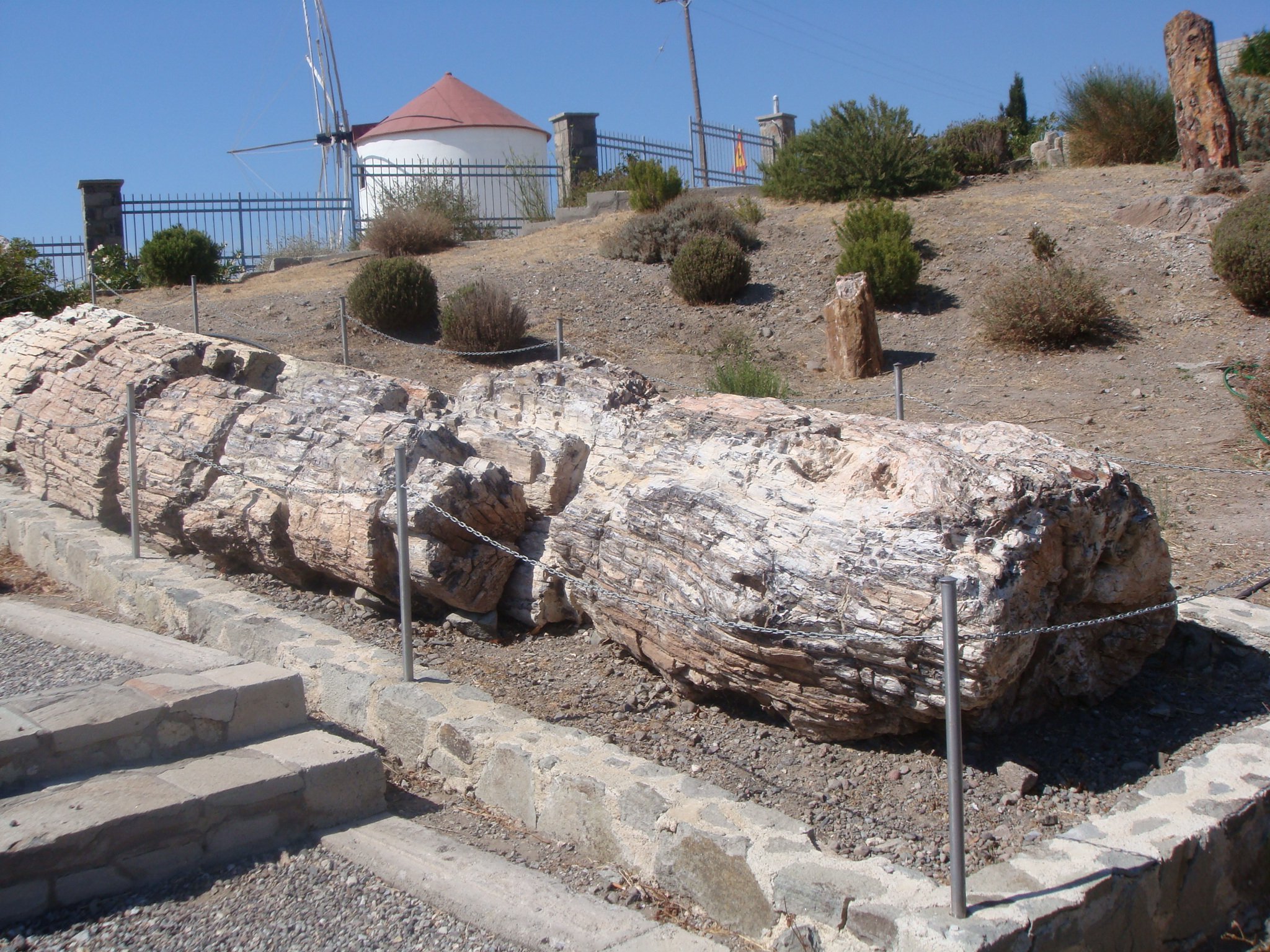 Sigri Petrified Tree Photo from Sigri in Lesvos | Greece.com