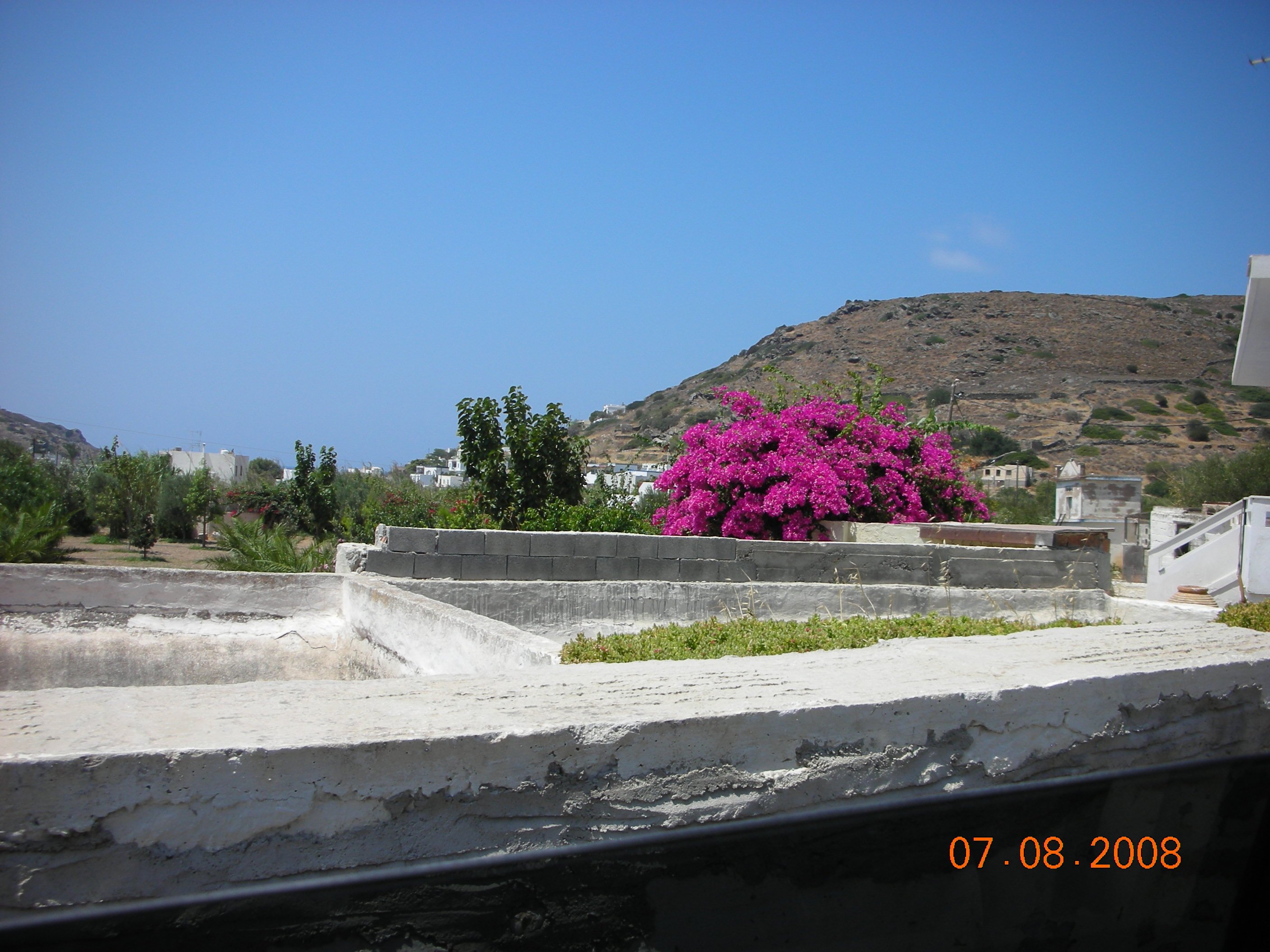 DELFINI SYROS AMAZING FLOWERS Photo from Kini in Syros | Greece.com
